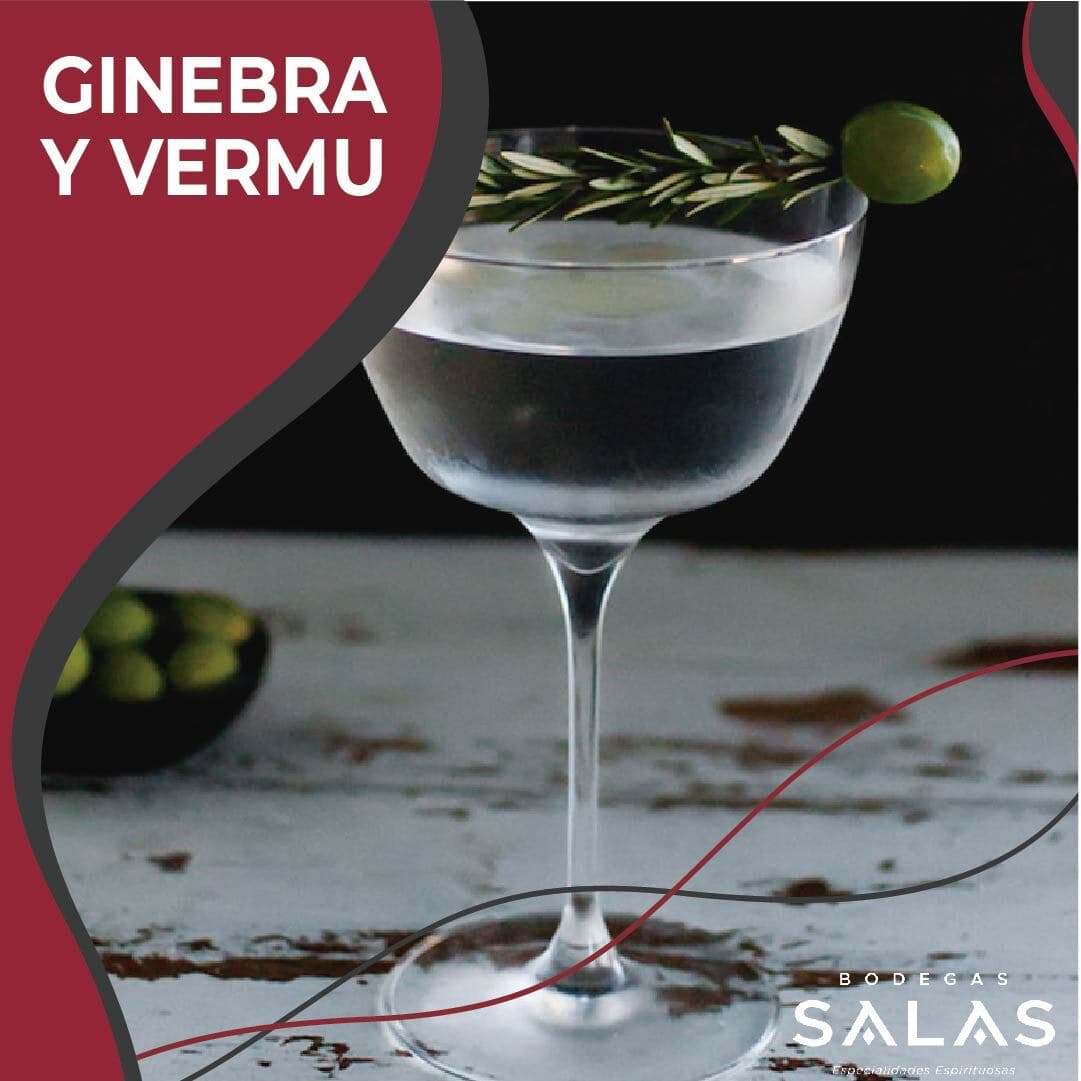 ~ Los 12 mejores cócteles con ginebra que tienes que probar