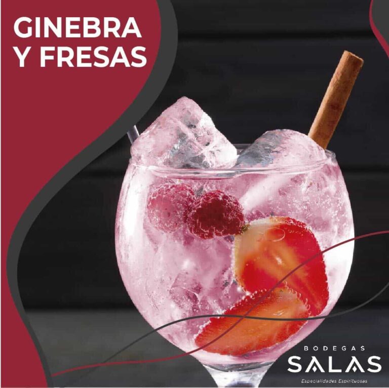 ~ Los 12 mejores cócteles con ginebra que tienes que probar